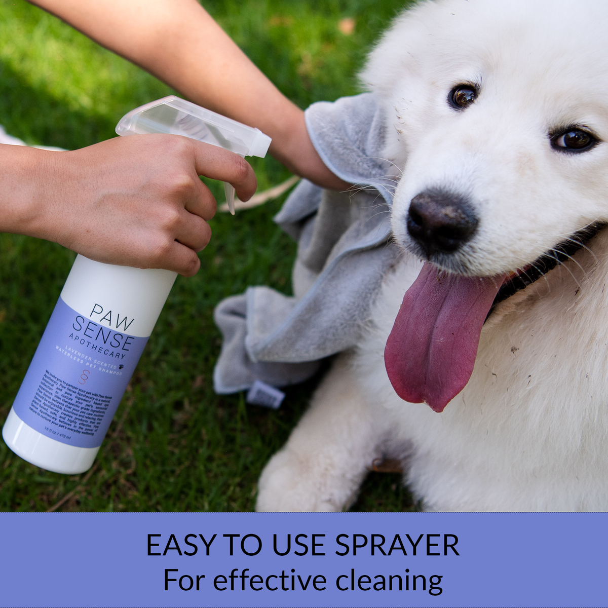 Lavender Waterless Pet Shampoo | Paw Sense